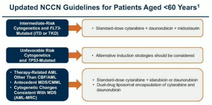 Acute Myeloid Leukemia (AML): Highlights from ASH 2020 – ALAN