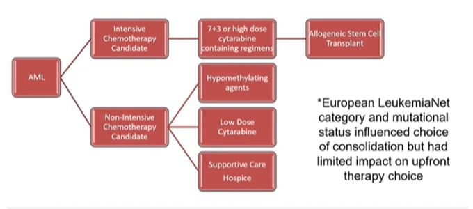 Acute Myeloid Leukemia (AML): Highlights from ASH 2020 – ALAN