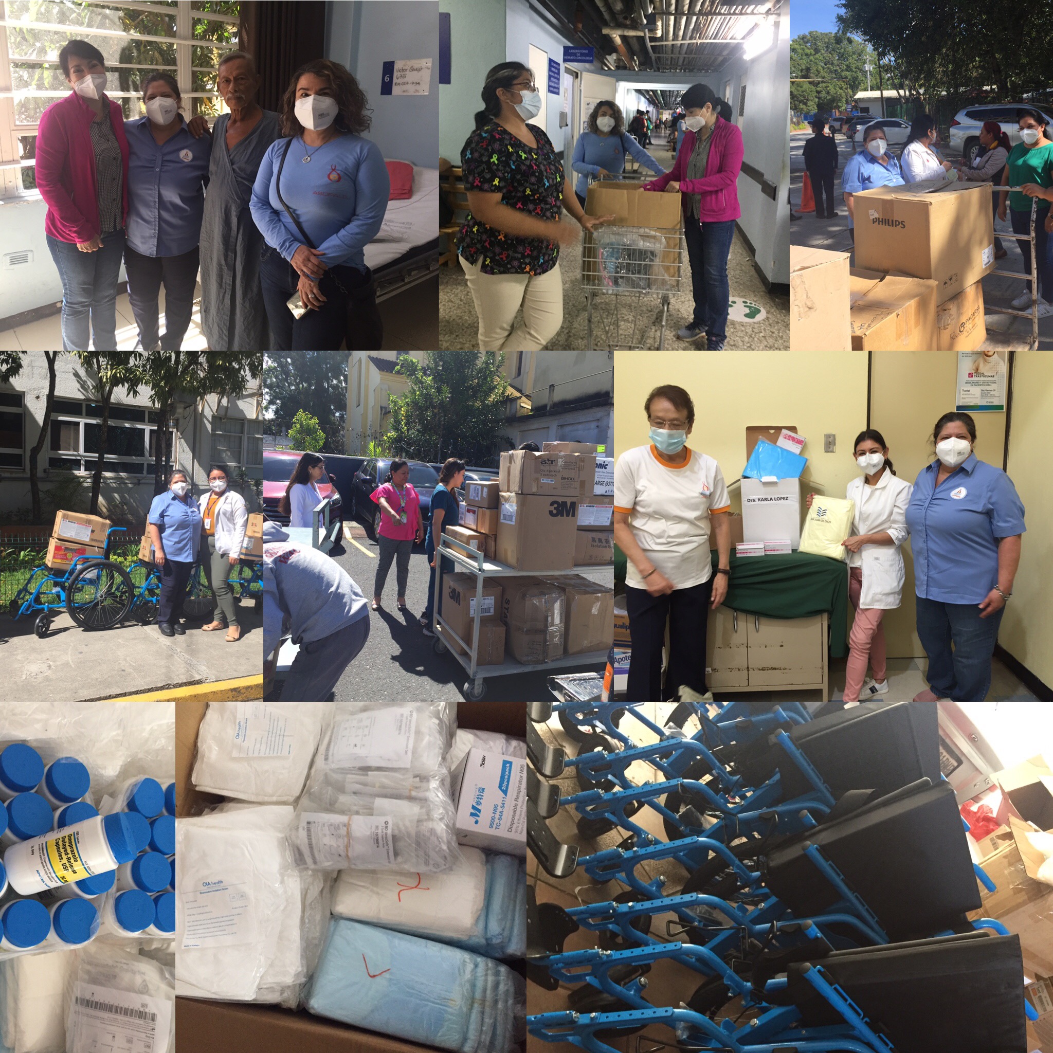 Spotlight on ALAN members – ALAN