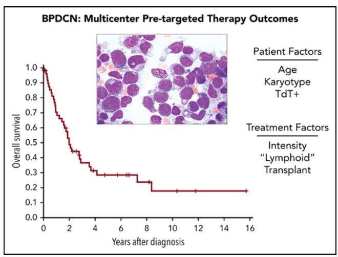 Q4 2023: Additional information and data in acute leukemia – ALAN